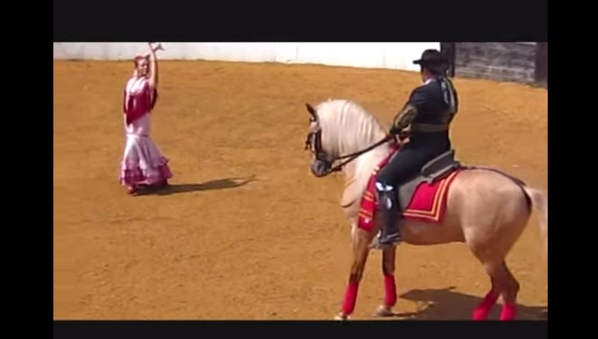 Este Bello Baile Andaluz Con Un Caballo Te Sorprenderá Porque Es Una ...