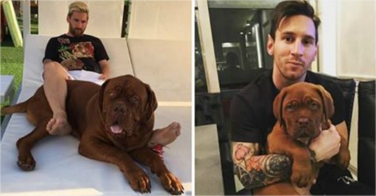 El Perro De Messi Ya No Es El "Cachorrito" Adorable ¡Vaya Que Creció ...