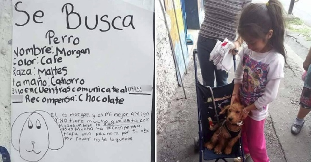 Pequeña Hizo un Cartel De "Se Busca" Con Sus Propias Manos Y Logró ...