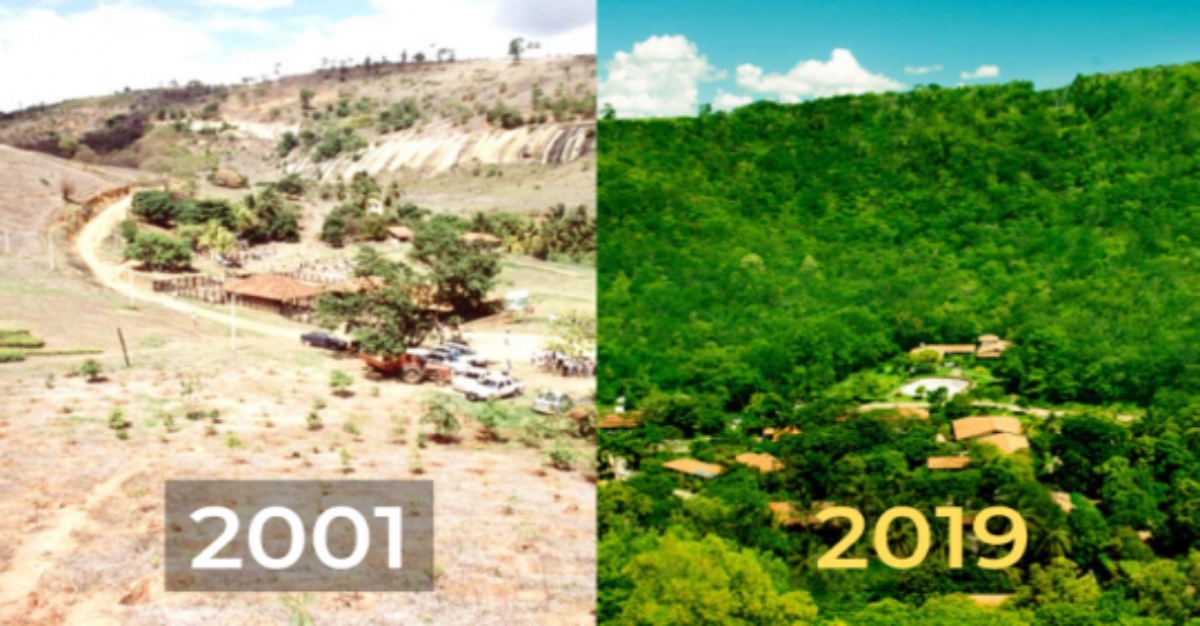 20 Años De Reforestación Retratados Por Un Fotógrafo - Via Ritmo
